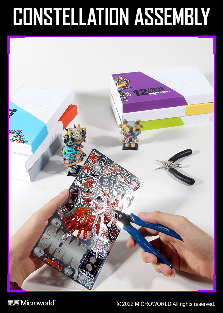 Microworld 12 Zodiac Signs – Aquarius 1.20-2.18 3D Metal Model Kits DIY ...